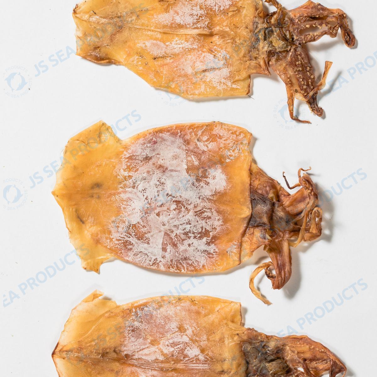 Pusit | JS SEA PRODUCTS